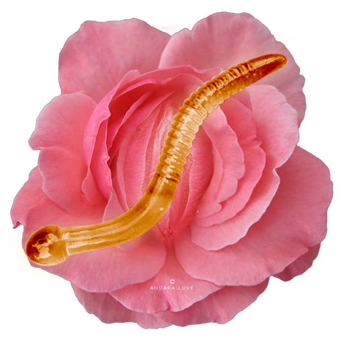 Serpent of Light– Sonic Love Alchemy